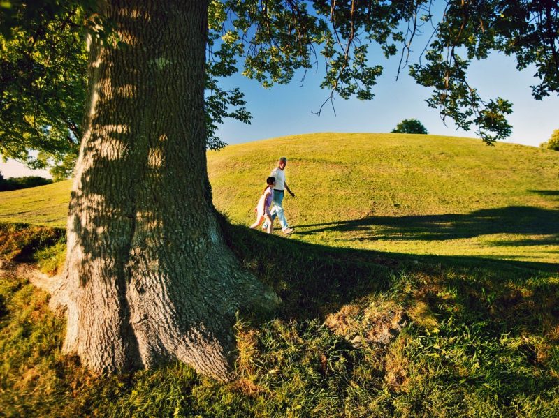 Visit Armagh - Tourist information and events from across the borough